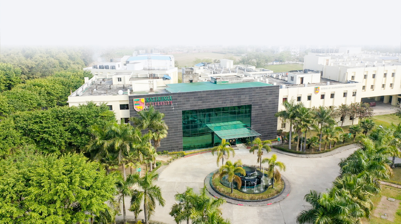 Portfolio | Ashif Elahi Portfolio | Ashif Elahi
